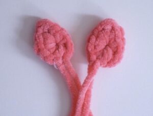 Mini Plush Crochet Shrimp PDF Free Pattern